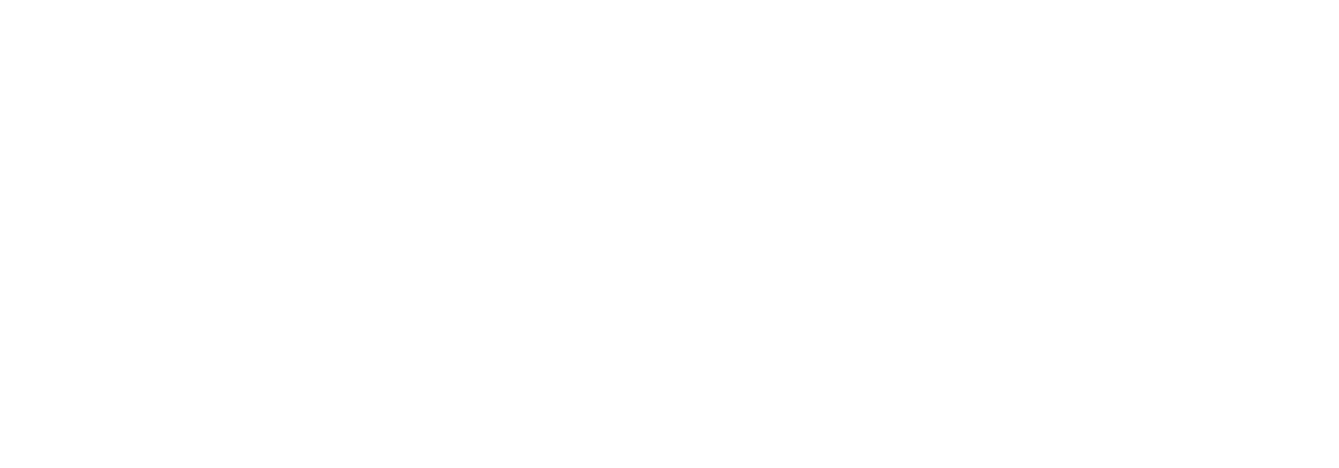 Auto Transport & Car Shipping | Preowned Auto Logistics